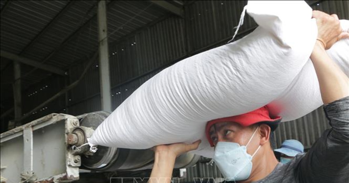 Philippines, Indonesia tạm ngừng nhập gạo: Xuất khẩu gạo của Việt Nam ...