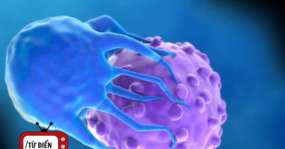 Liệu pháp CAR-T: "Huấn luyện" hệ miễn dịch tự đi tìm tế bào ung thư